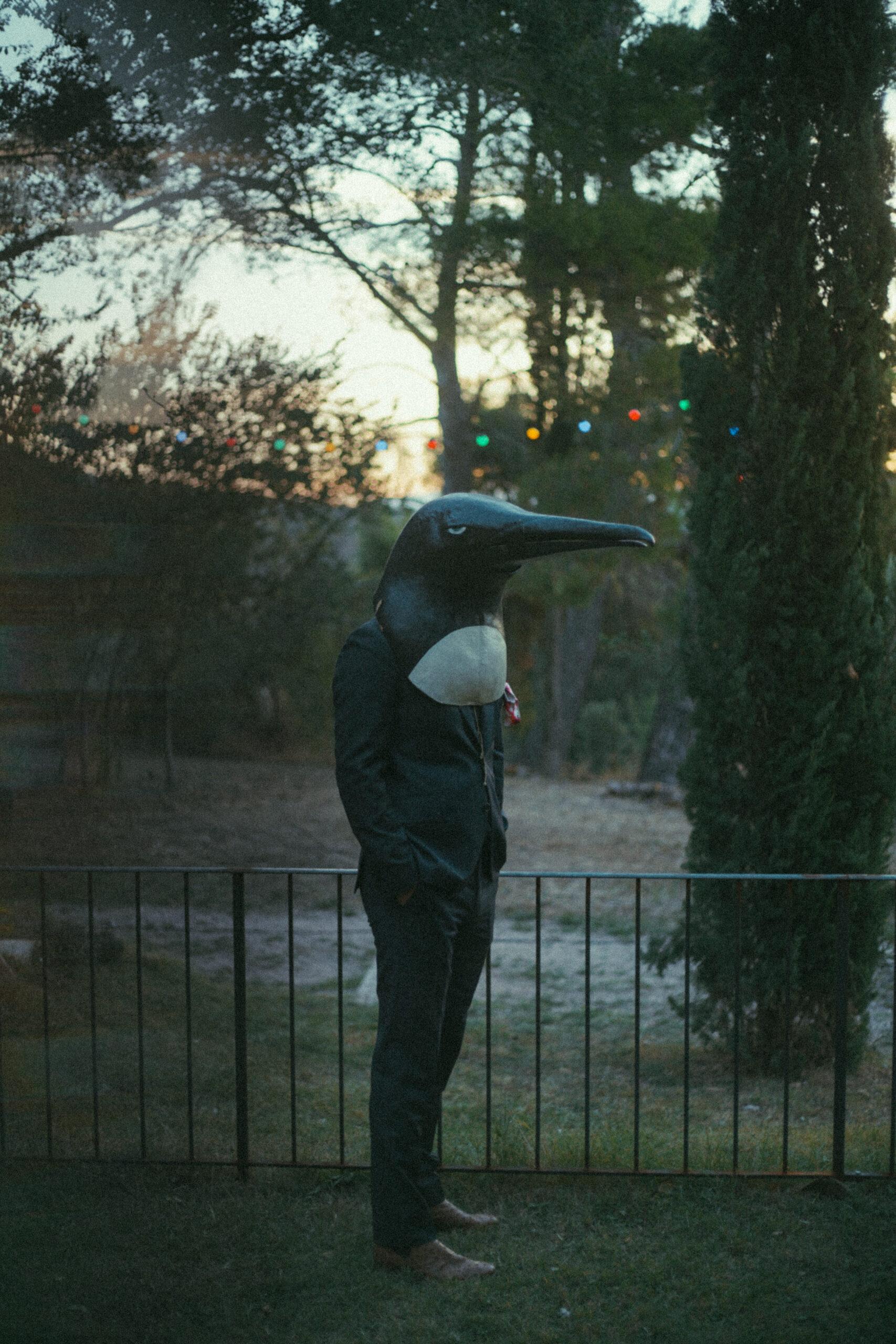 Penguin Cafe: Beak Performance – Electronic Sound