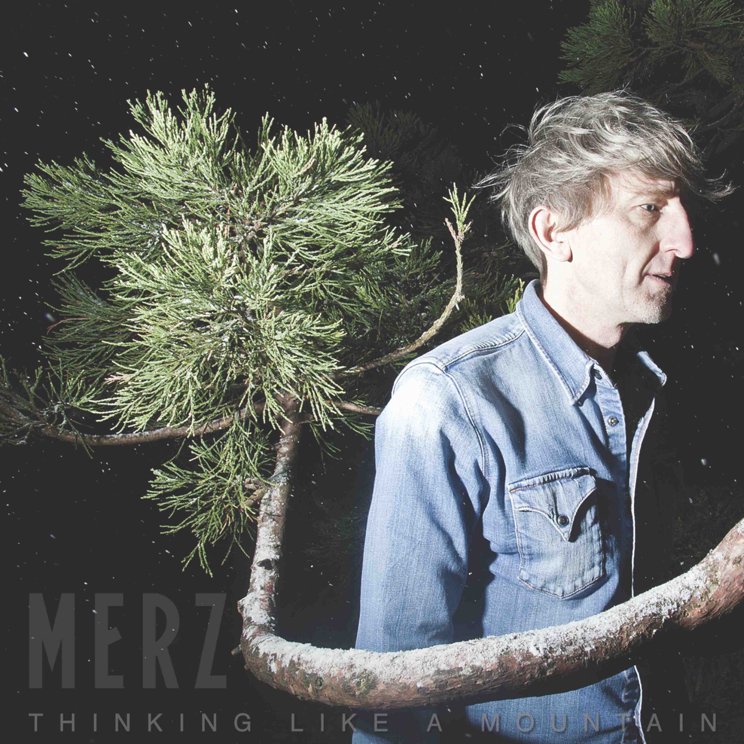 Merz ‘Thinking Like A Mountain’ (Accidental) – Electronic Sound